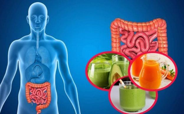 Bí Quyết Tăng Sức Khỏe Niêm Mạc Ruột Bằng Dinh Dưỡng